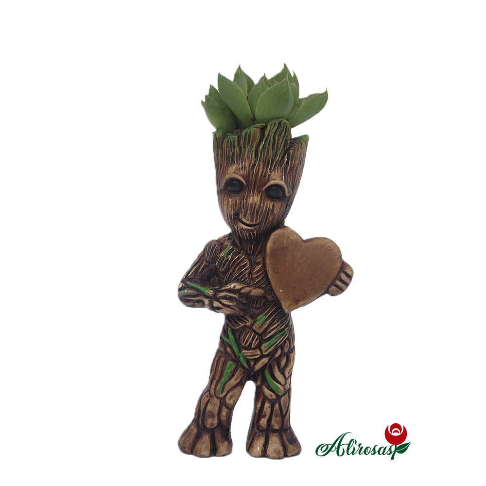 Maceta Groot | Alirosas Florería | Rosas, Flores, Tulipanes, Regalos ...