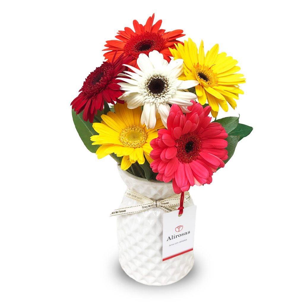 Florero blanco de Gerberas